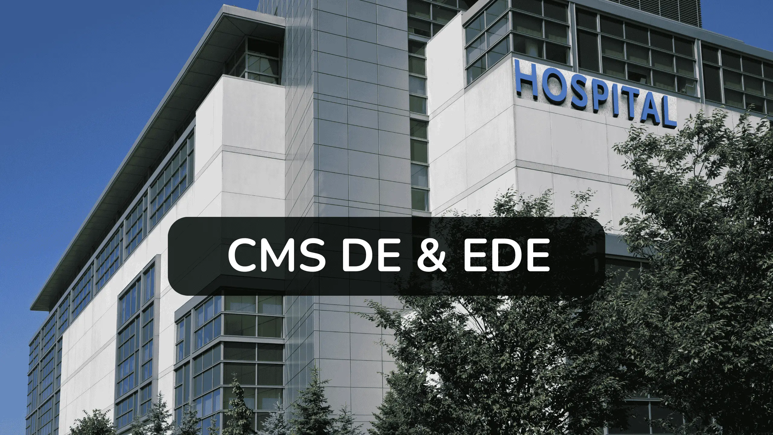 CMS EDE Audit Readiness | Elevate Consult
